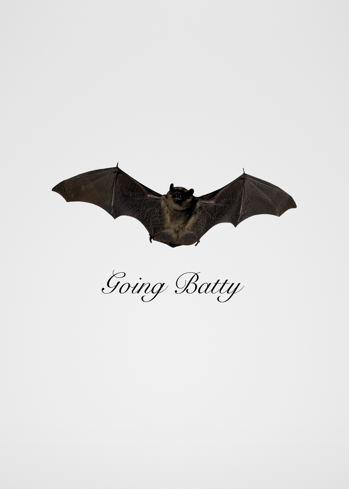 Going Batty Capsule Collection – Nikki Marie Apparel